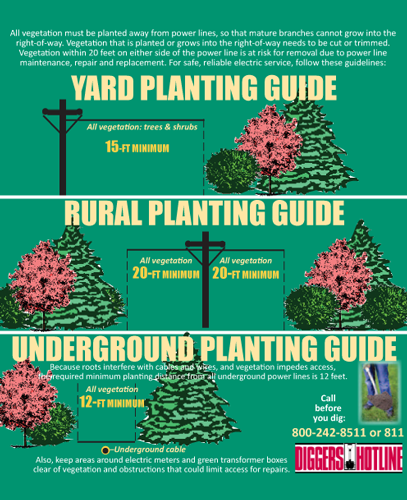 Right-of-Way Tree Planting Guide | Polk-Burnett Electric Cooperative